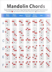 Mandolin Chords Every Beginner Should Know - Mandolin Expert