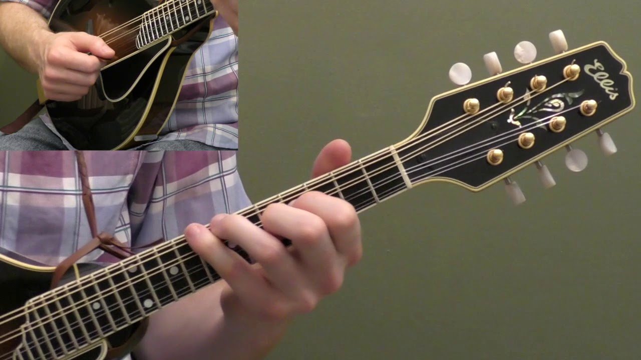 How to Play the Mandolin for Beginners: 5 Steps to Get Started